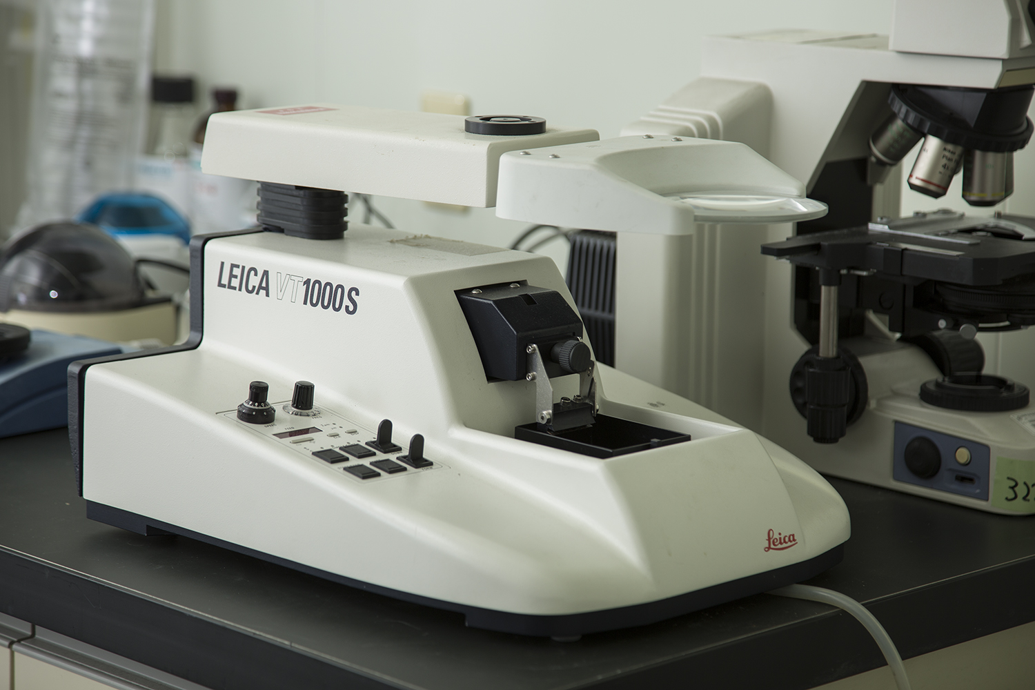 研究機器 | TOP | 東京理科大学研究推進機構 生命医科学研究所 炎症･免疫難病制御部門（松島研究室）